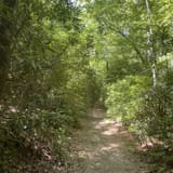 Explorer Loop, North Carolina - 357 Reviews, Map | AllTrails