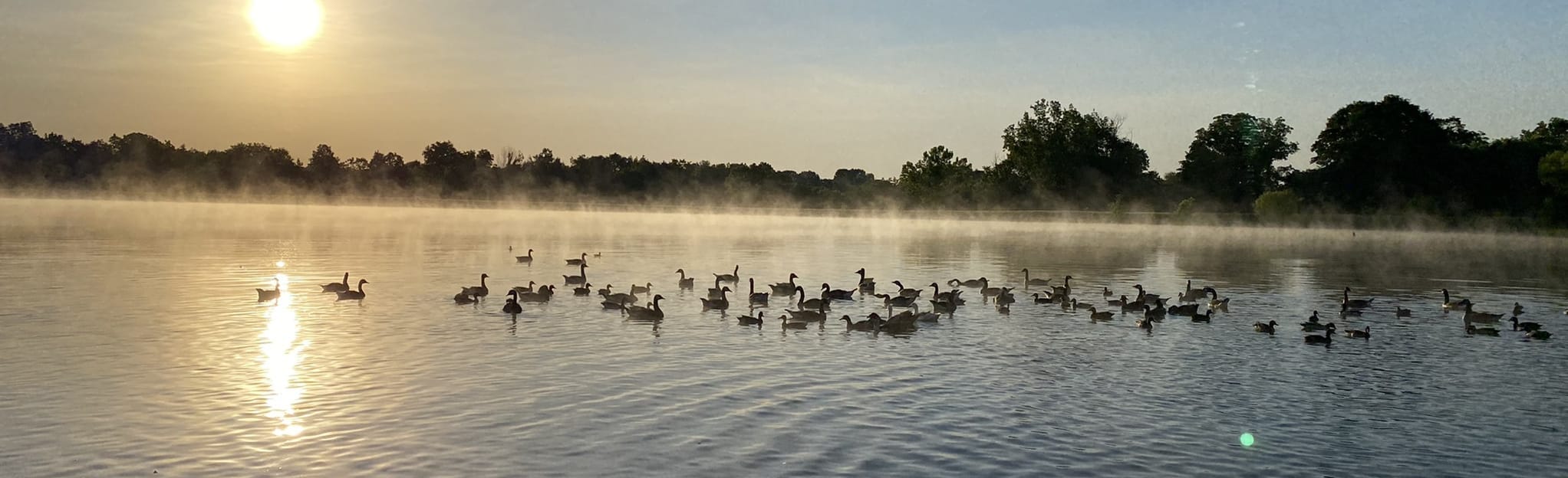 Long Run Park: 19 Reviews, Map - Kentucky | AllTrails
