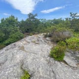 Little Lost Cove Cliffs, North Carolina - 147 Reviews, Map | AllTrails