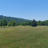 Two Rivers Park Trail, Arkansas - 718 Reviews, Map | AllTrails