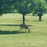 Two Rivers Park Trail, Arkansas - 718 Reviews, Map | AllTrails