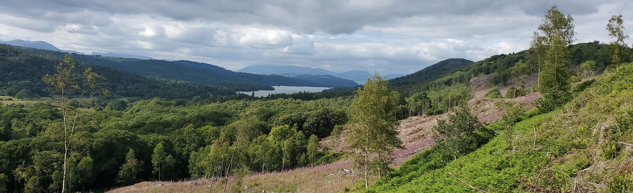 Simpson Ground Reservoir and Chapel House Wood Circular: 170 foto's ...