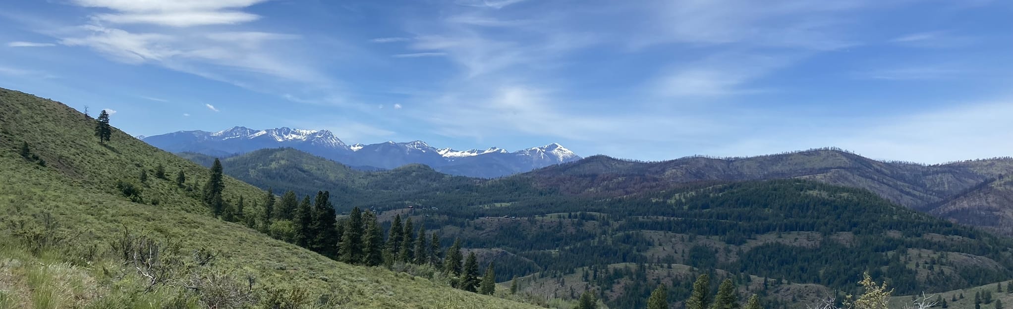 Patterson Mountain Trail, Washington - 355 Reviews, Map | AllTrails