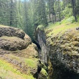 Boulder Cave Trail, Washington - 192 Reviews, Map | AllTrails