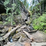 Boulder Cave Trail, Washington - 192 Reviews, Map | AllTrails