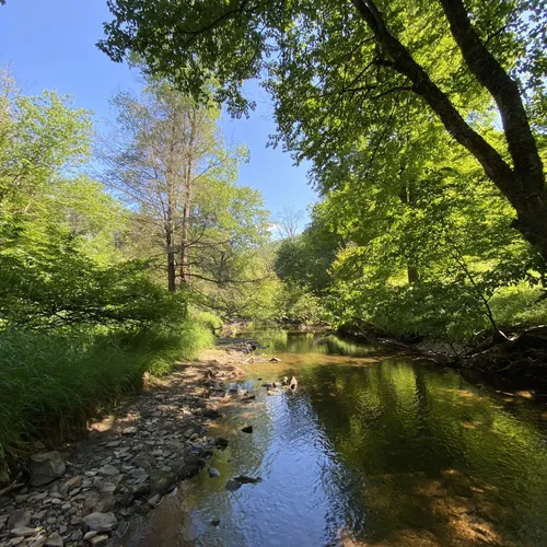 Best Hikes and Trails in Lyman Run State Park | AllTrails