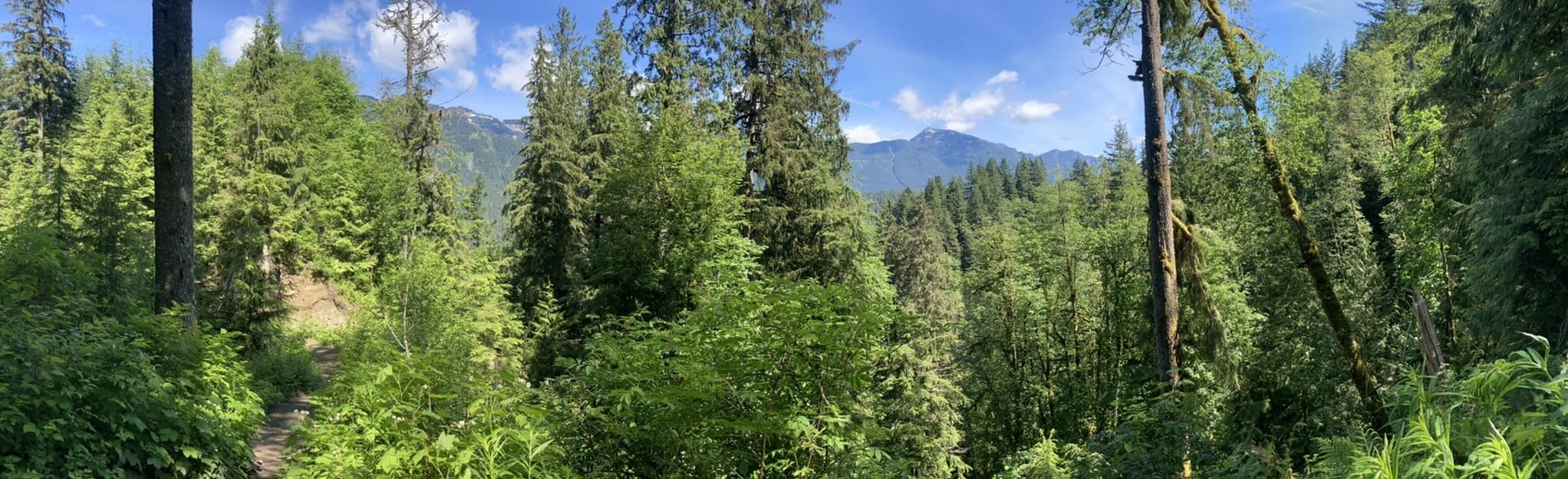 Thompson Point: 1.477 foto - Washington | AllTrails