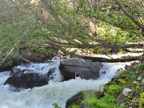 Best River Trails in Twisp | AllTrails