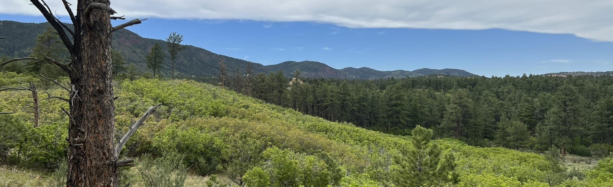 Schilling Nursery Loop, Colorado - 171 Reviews, Map | AllTrails