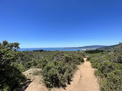 10 Best Trails and Hikes in Stinson Beach | AllTrails