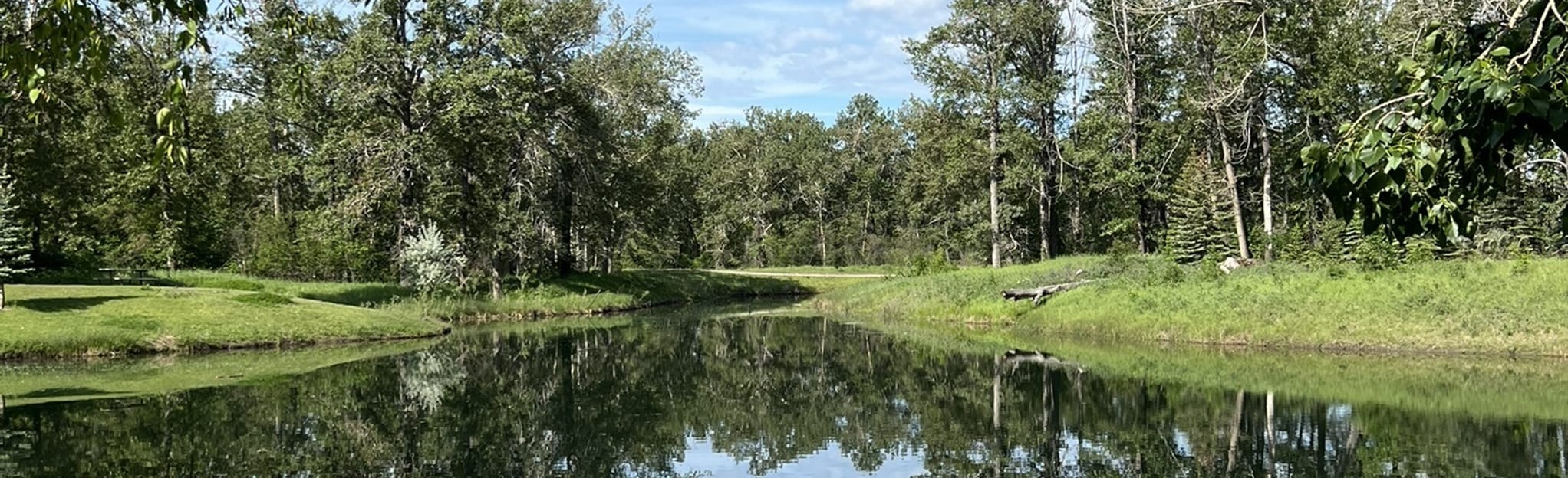 Bow River Pathway , Alberta, Canada - 79 Reviews, Map | AllTrails