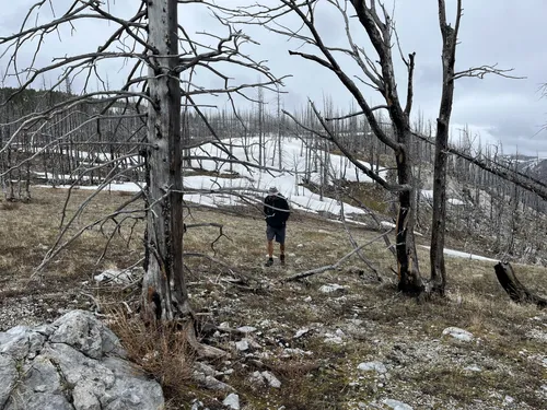 Best Hikes and Trails in Marble Range/Edge Hills Provincial Park ...