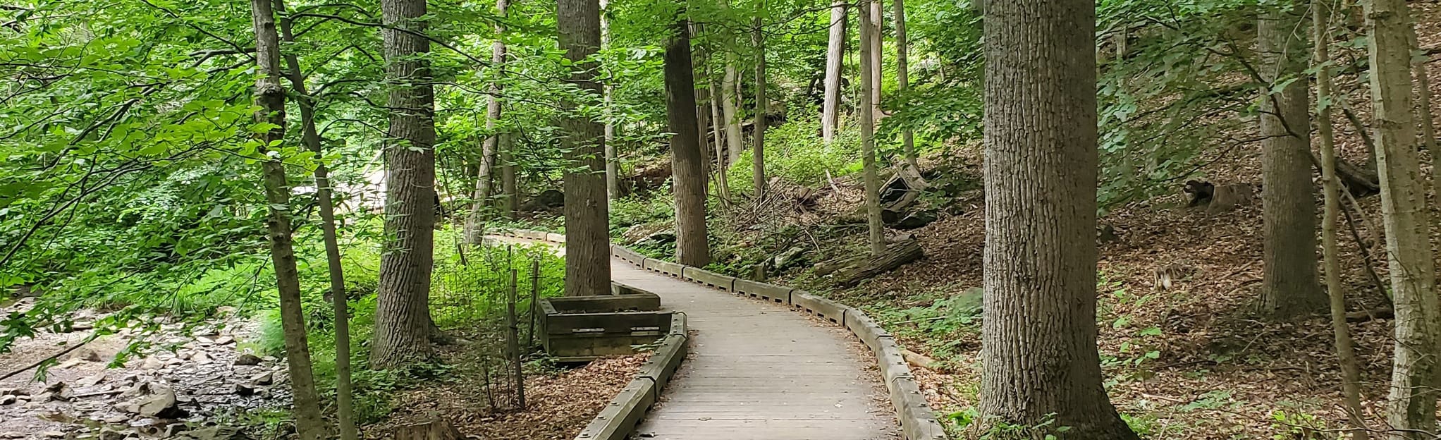 Cunningham Falls Boardwalk Trail, Maryland - 43 Reviews, Map | AllTrails
