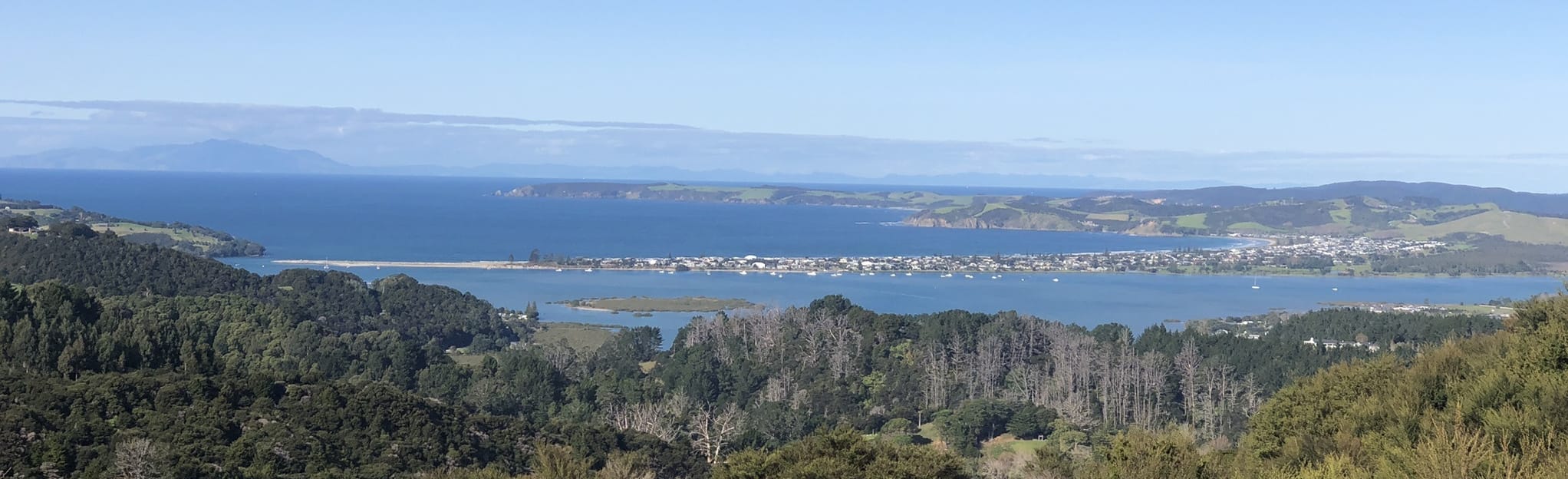 Schollum to Rodney, Auckland, New Zealand - 8 Reviews, Map | AllTrails