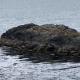 Iceberg Point Trail, Washington - 319 Reviews, Map | AllTrails