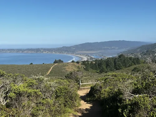 10 Best Trails and Hikes in Stinson Beach | AllTrails