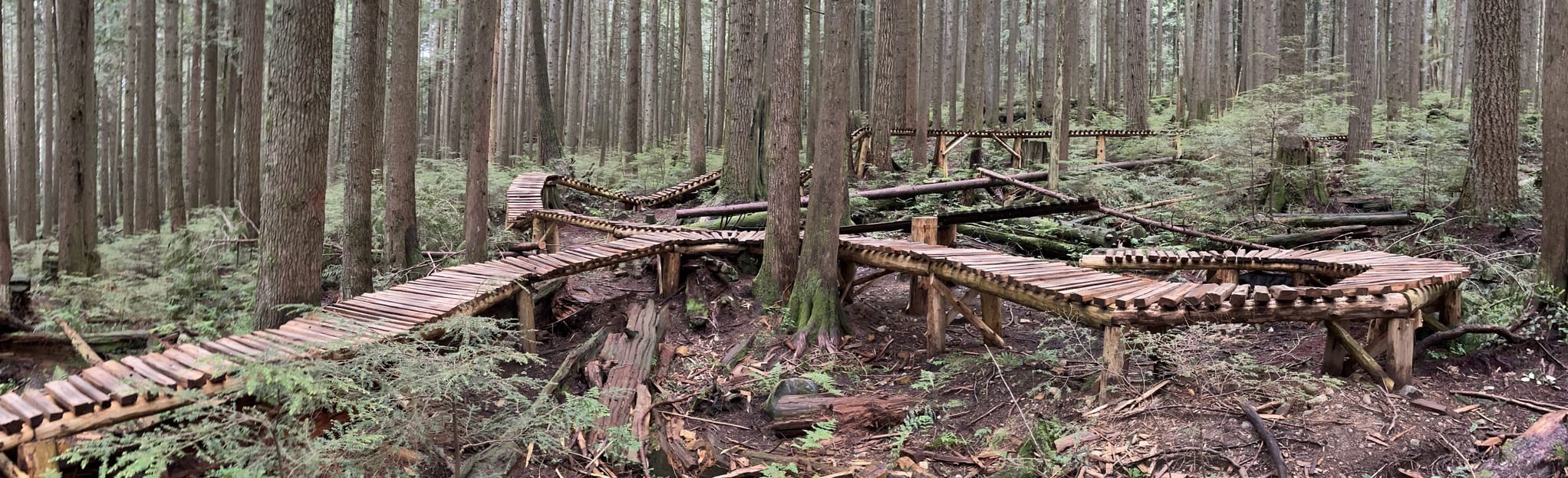 Pipeline MTB Trail Loop, British Columbia, Canada - 9 Reviews, Map ...