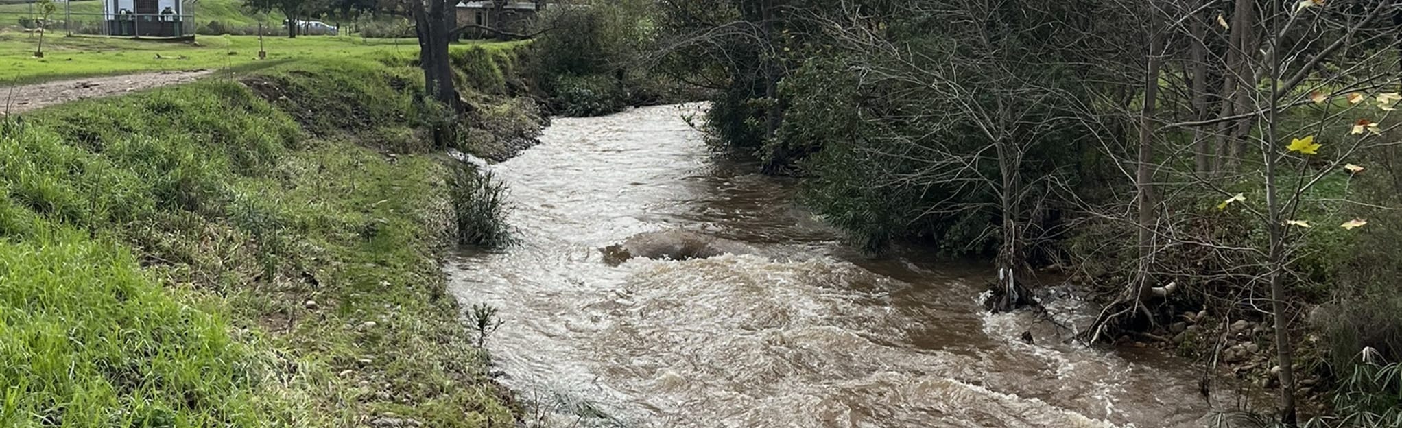 Radloff River Trail: 7 Reviews, Map - Western Cape, South Africa ...