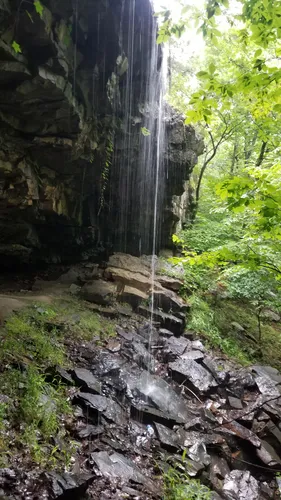 Best Hikes and Trails in Waldron | AllTrails