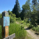 Boardman/Ottaway River Trail, Michigan - 309 Reviews, Map | AllTrails