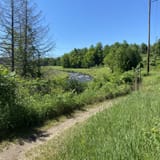 Boardman/Ottaway River Trail, Michigan - 309 Reviews, Map | AllTrails