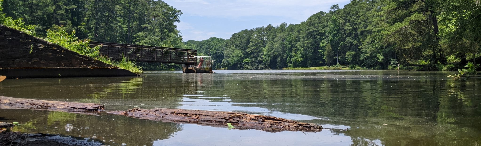 Sycamore Trail Loop, North Carolina - 1,331 Reviews, Map | AllTrails