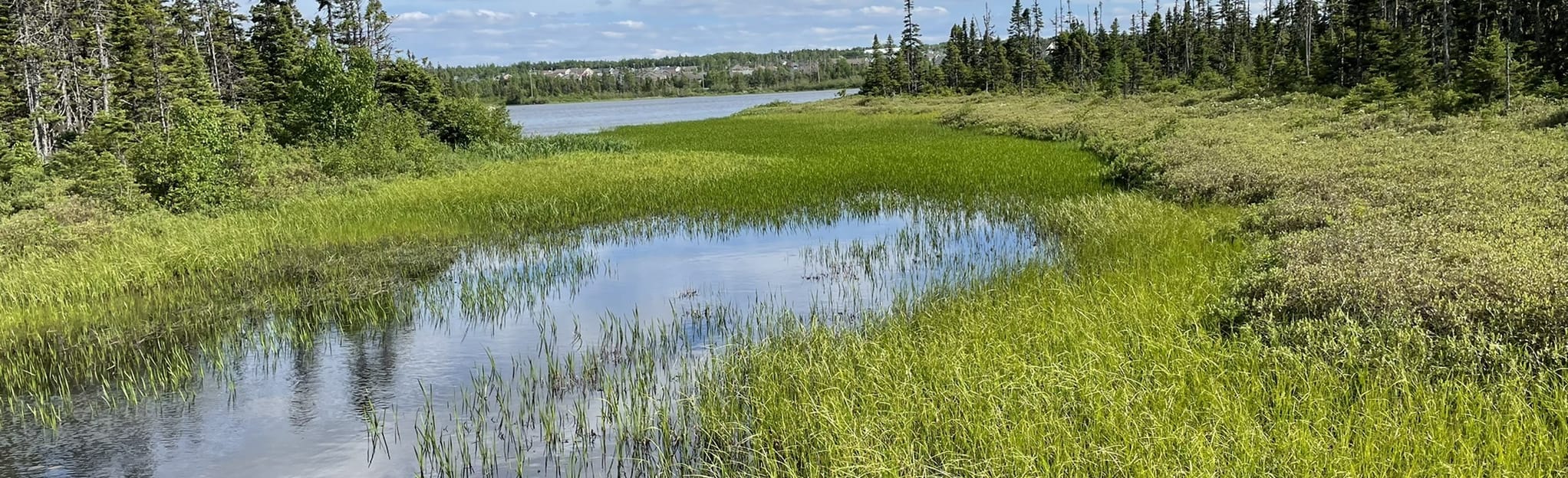 Cobbs Pond Trail: 124 Reviews, Map - Newfoundland and Labrador, Canada ...