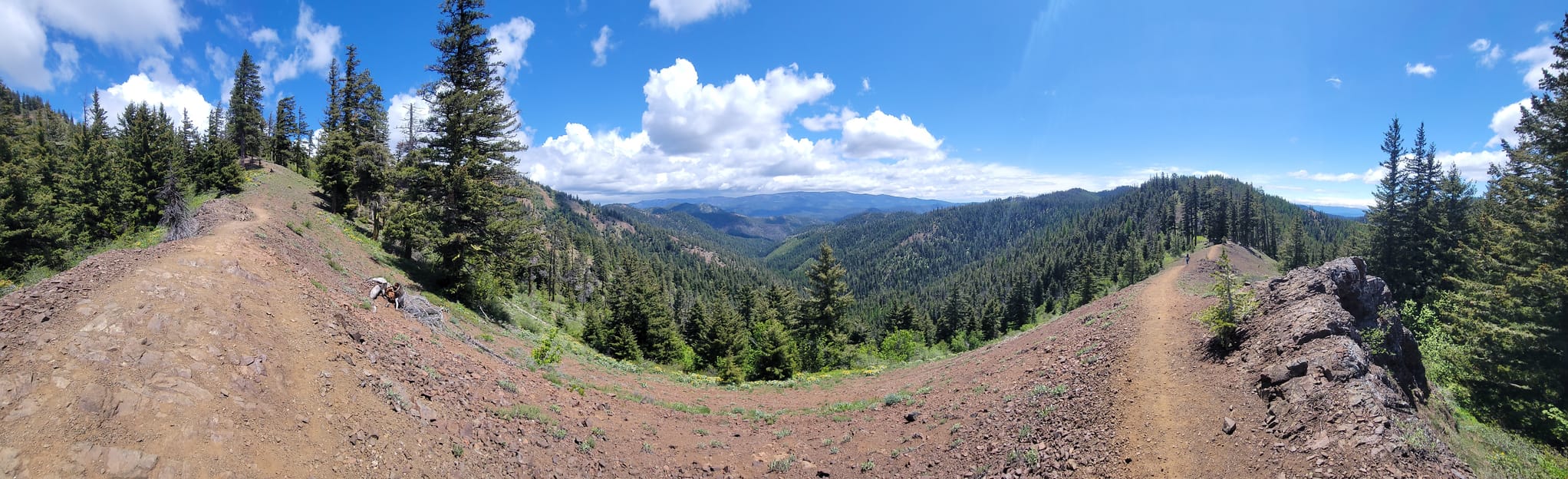 Iron Bear Trail #1351 to Teanaway Ridge Trail #1363: 663 Reviews, Map ...