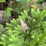 Penoke Trail, Pennsylvania - 19 Reviews, Map | AllTrails