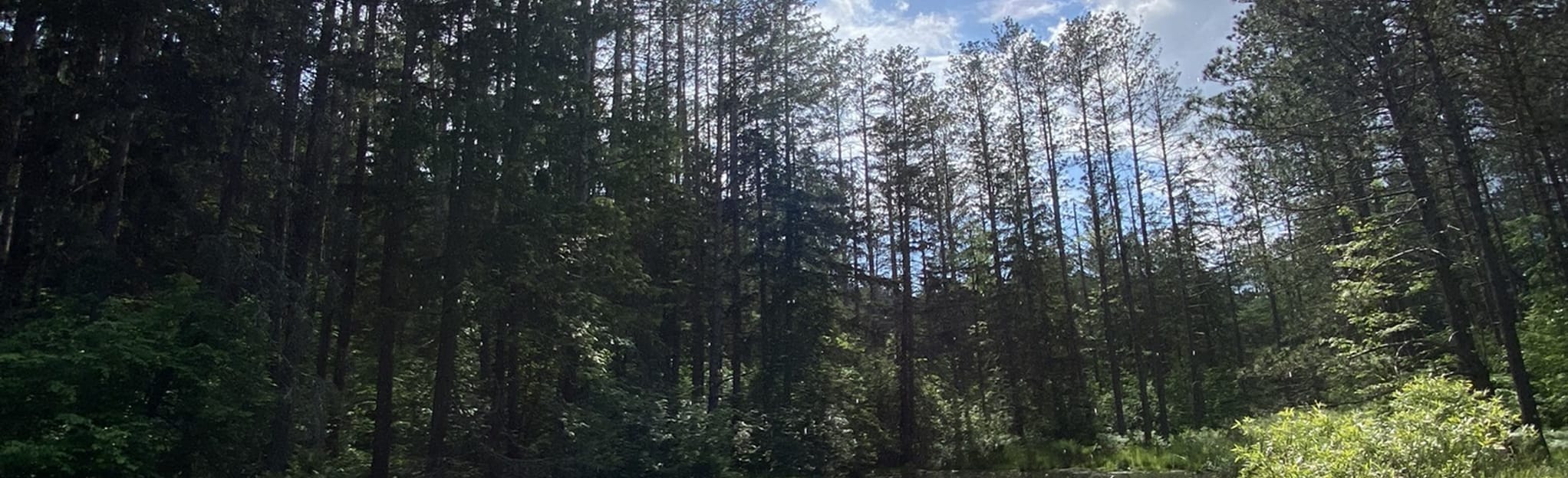 Penoke Trail, Pennsylvania - 12 Reviews, Map | AllTrails