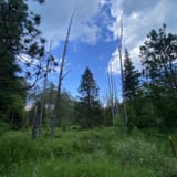 Penoke Trail, Pennsylvania - 19 Reviews, Map | AllTrails