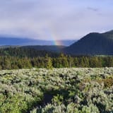 Lunch Tree Hill Trail, Wyoming - 226 Reviews, Map | AllTrails