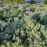 Lunch Tree Hill Trail, Wyoming - 226 Reviews, Map | AllTrails