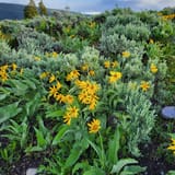 Lunch Tree Hill Trail, Wyoming - 226 Reviews, Map | AllTrails
