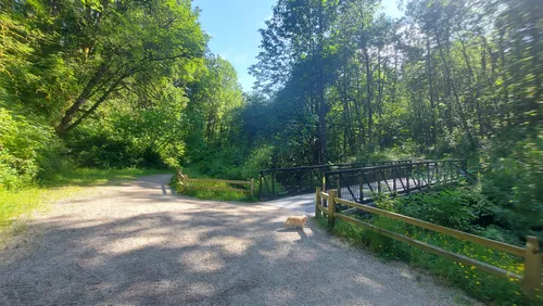 10 Best Walking Trails in Surrey | AllTrails