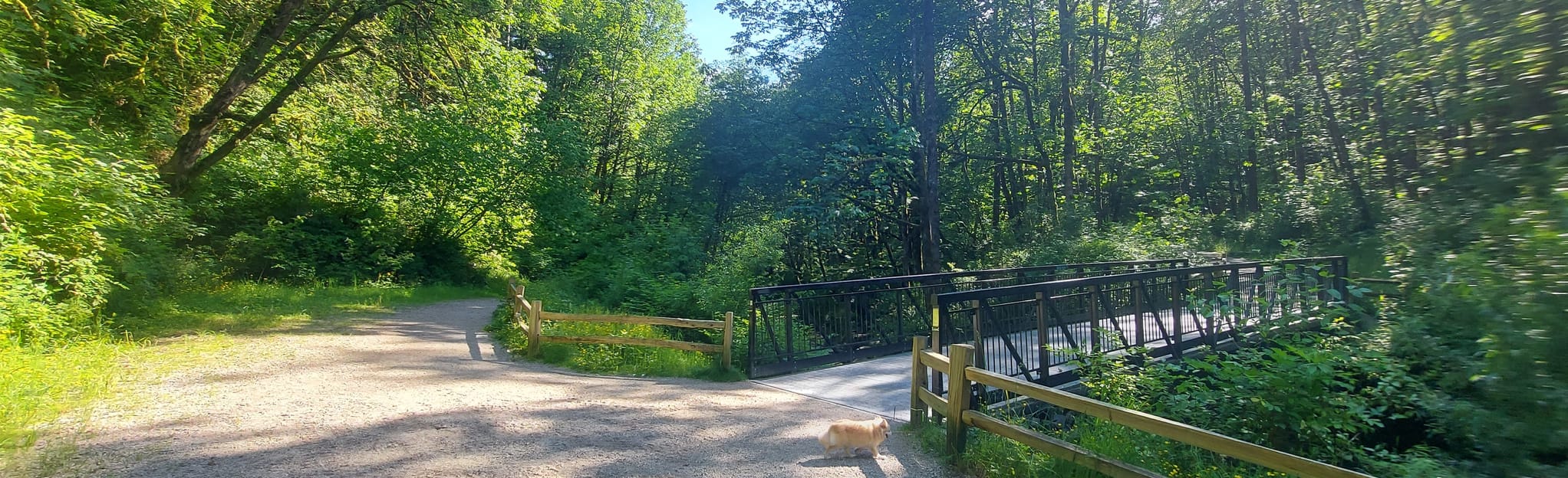 Invergarry Park Loop, British Columbia, Canada - 131 Reviews, Map ...