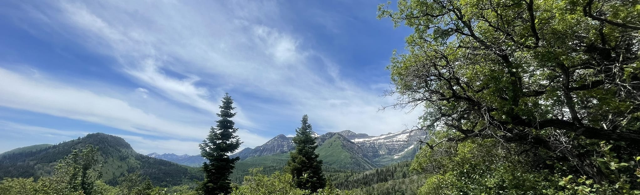 Ridge Trail, South Fork Deer Creek, Summit Loop: 143 Reviews, Map ...