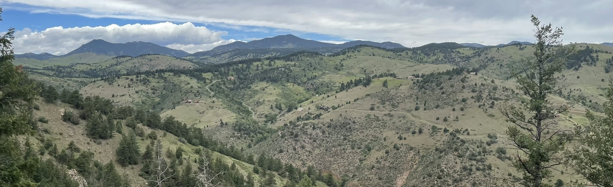 Mount Galbraith Loop via Cedar Gulch Trail: 8135 Reviews, Map ...