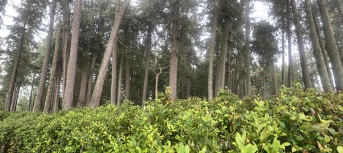 Best Hikes and Trails in Bere Point Regional Park | AllTrails