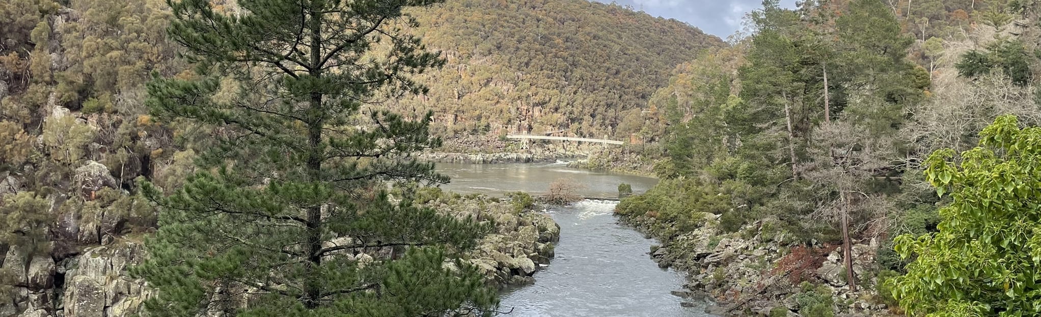 Cataract Gorge Walk, Tasmania, Australia - 73 Reviews, Map | AllTrails