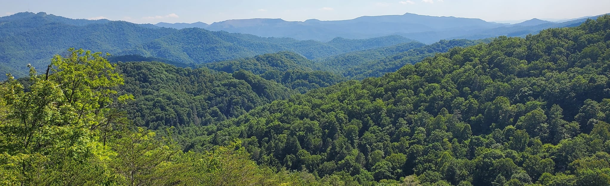 Knobby Rock Trail: 102 Reviews, Map - Kentucky | AllTrails