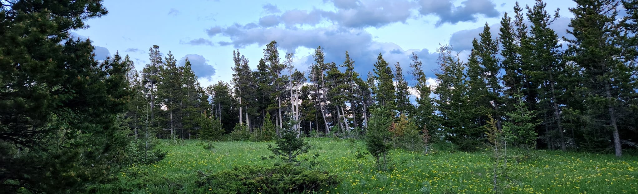 Chief Mountain Highway Lookout: 3 Reviews, Map - Alberta, Canada ...