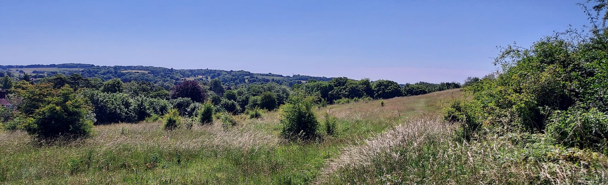 Shawford Down from Shawford Station: 10 Reviews, Map - Hampshire, England | AllTrails