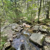 Jordan Stream Path, Maine - 164 Reviews, Map | AllTrails
