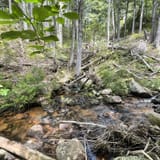 Jordan Stream Path, Maine - 164 Reviews, Map | AllTrails