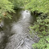 Winding River Park Trail, New Jersey - 452 Reviews, Map | AllTrails