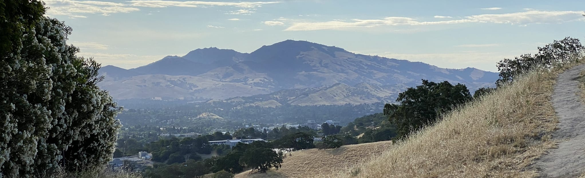 Briones to Mount Diablo, Camino Verde, and Ridgetop Trail, 499 Photos ...