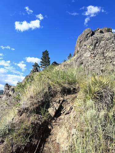 Best Hikes and Trails in Tower Rock State Park | AllTrails