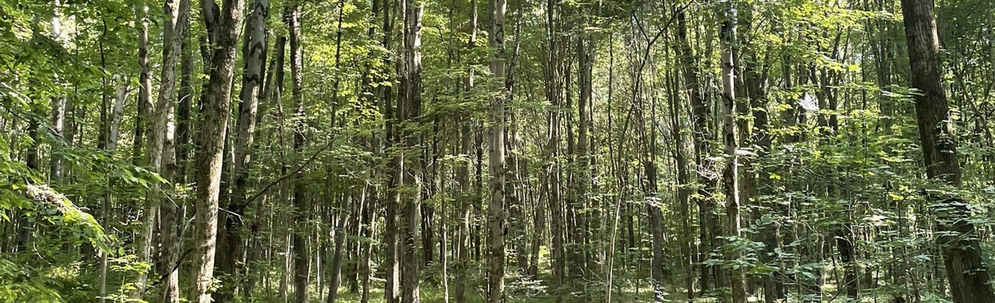 Lake Milton Loop, Ohio - 218 Reviews, Map | AllTrails