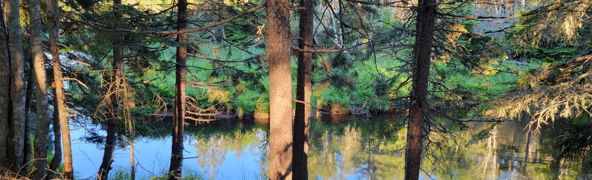 Amherst Shore Loop, Nova Scotia, Canada - 29 Reviews, Map | AllTrails